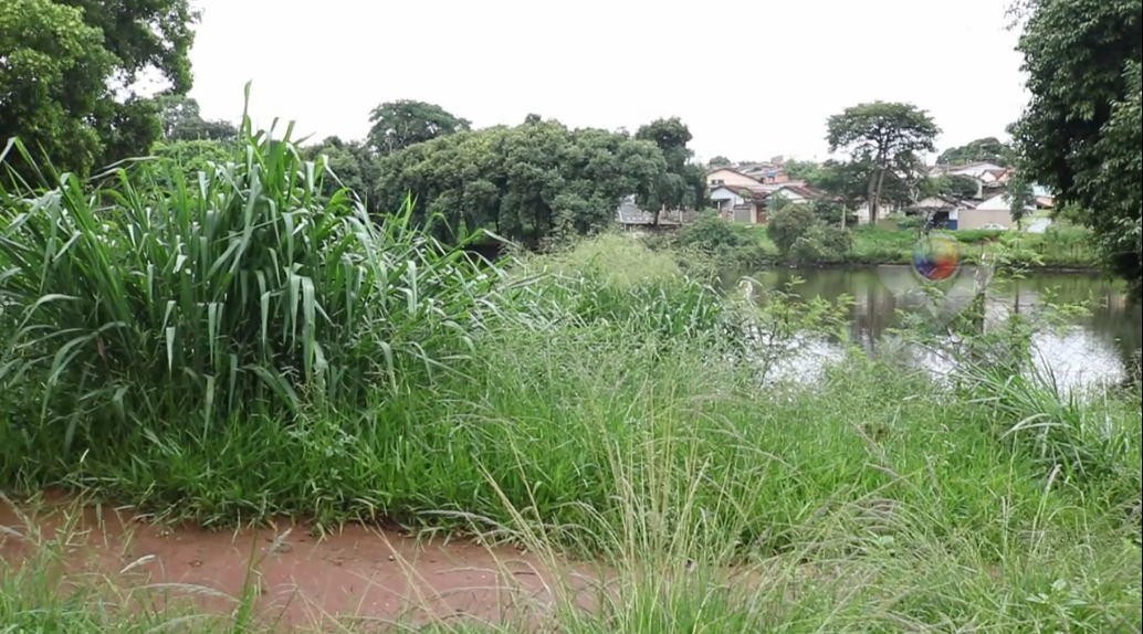 Projeto de revitalização do Parque Linear do Luizote de Freitas vai ...